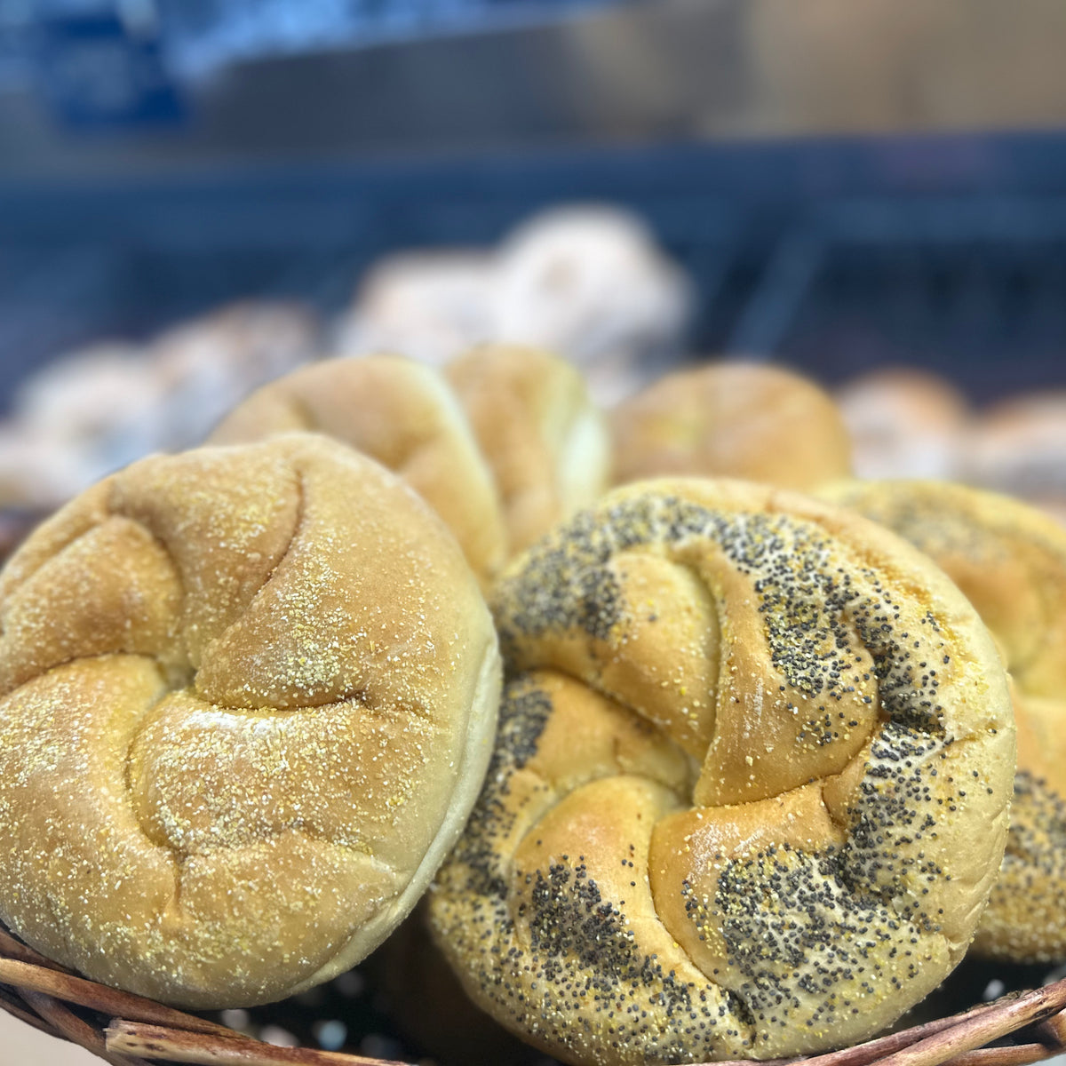 (1) Dozen NY Kaiser Rolls – Bagel Shop Shipped